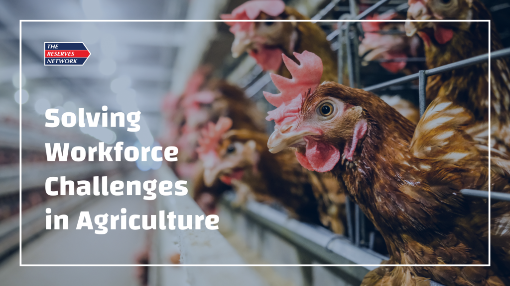 Different Kind of Recruitment & Staffing Agency | The Reserves Network